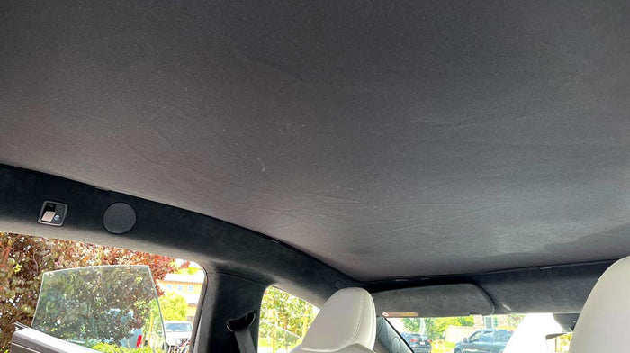 2021-2025 Tesla Model S Glass Roof Sunshade | TESMANIAN