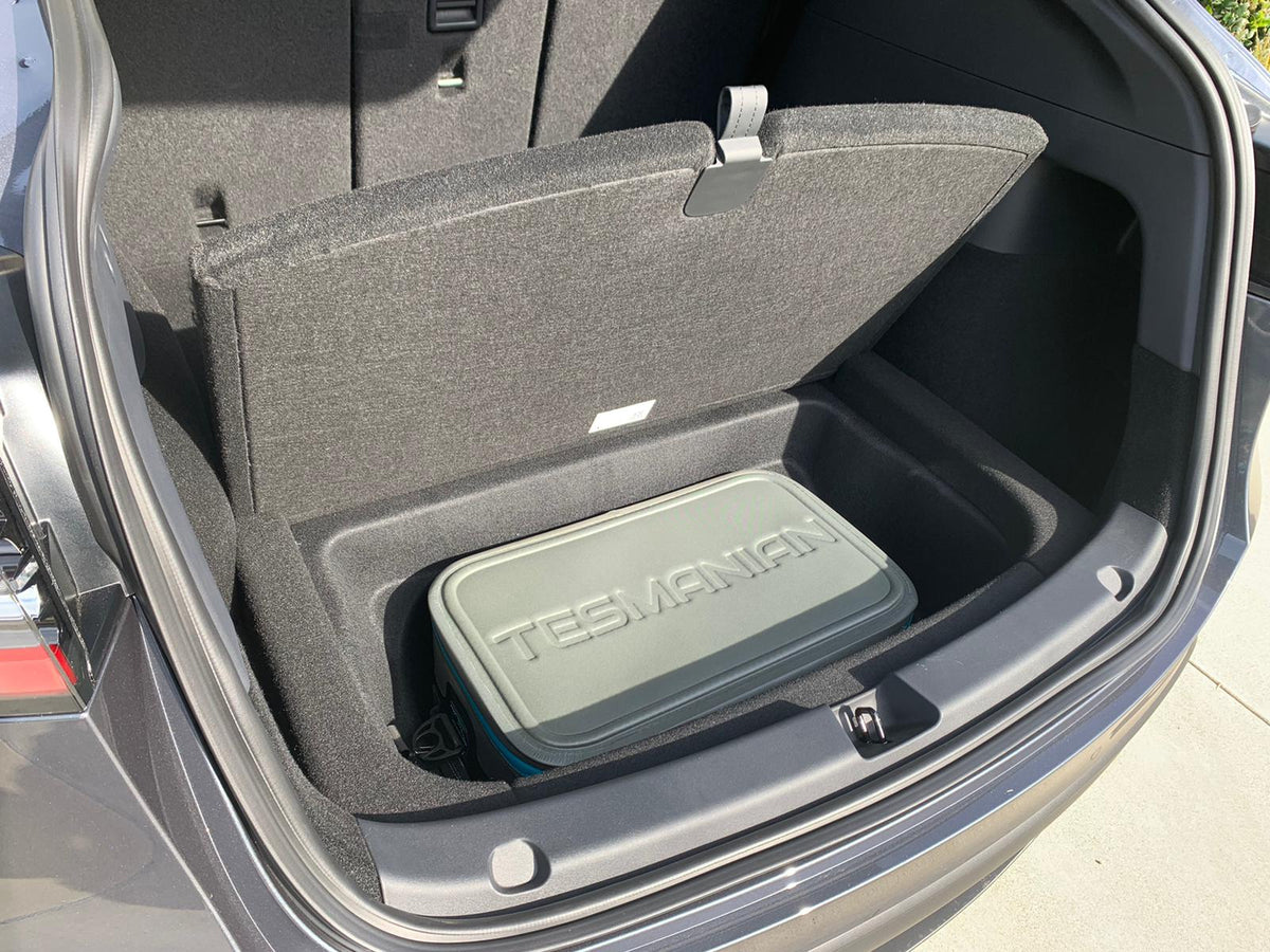 Tesla Model Y Soft Cooler | TESMANIAN